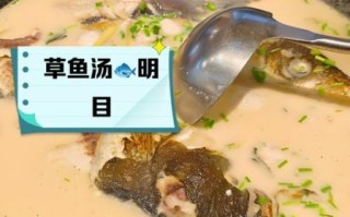 清炖草鱼汤怎么做_清炖草鱼汤放什么调料