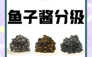 鱼子酱等级怎么分_鱼子酱等级排行标准