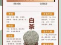 白茶的功效与作用适合什么季节喝_春末夏初还是秋冬