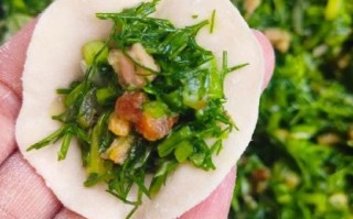 茴香菜饺子怎么做好吃_茴香菜饺子馅怎么调