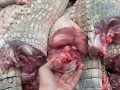 鳄鱼肉什么口感_鳄鱼肉好吃吗