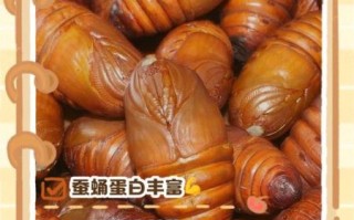 蚕蛹一天吃几个能补高蛋白_蚕蛹蛋白质含量高吗 蚕蛹一天吃几个能补高蛋白_蚕蛹蛋白质含量高吗