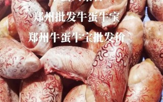 牛蛋的功效与作用_牛蛋怎么吃最补肾壮阳