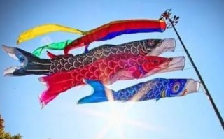 鲤鱼旗的含义_鲤鱼旗代表什么