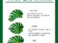 龟背竹有毒吗_对猫狗有害吗