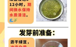 豆芽怎么发最快_豆芽怎么发最好