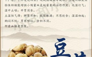 豆蔻的功效与作用_豆蔻主治哪些疾病