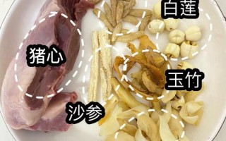 猪心煲什么汤最好_猪心汤搭配什么食材最补