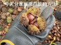 熟板栗怎么保存不会坏_熟板栗可以放多久