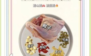 陈皮老鸭汤怎么做_老鸭汤加陈皮有什么好处