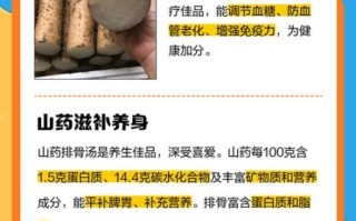 排骨炖山药的营养价值_孕妇能吃吗