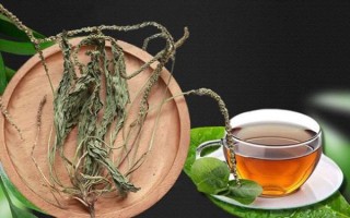 车前草泡水哪些人不能喝_禁忌人群全解析