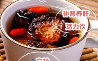 锁阳和肉苁蓉泡酒配方大全_泡多久能喝
