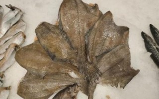 比目鱼禁忌人群有哪些_痛风患者能吃比目鱼吗