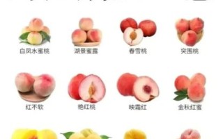 毛桃是热性还是凉性_毛桃吃多了会上火吗