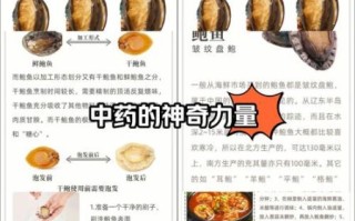 鲍鱼的功效与作用_鲍鱼怎么吃最补