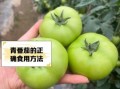 青番茄有毒吗_青番茄可以吃吗