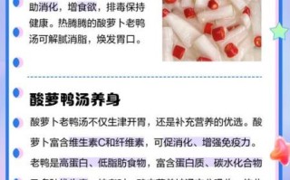 酸萝卜老鸭汤的功效与作用_适合什么人喝