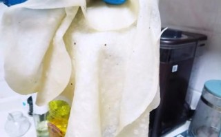 摊春卷皮的面粉怎么调_春卷皮用什么面粉最好