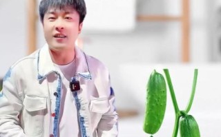 青瓜视频怎么赚钱_青瓜视频推广技巧