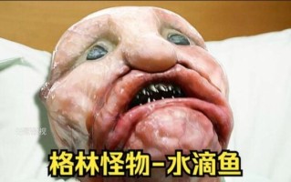 水滴鱼表情包为什么这么丑_水滴鱼表情包怎么火起来的