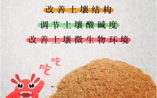 米皮糠和米糠一样吗_米皮糠与米糠的区别