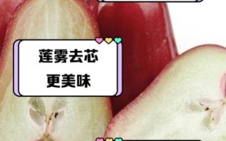 莲雾哪里不能吃_莲雾籽能不能吃