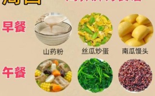 肠胃不好吃什么调理_肠胃不好怎么食疗