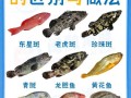 海里有哪些常见鱼_如何分辨深海鱼与浅海鱼