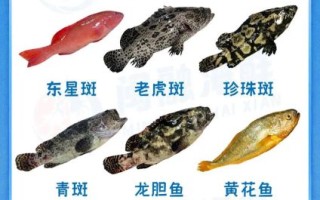 海里有哪些常见鱼_如何分辨深海鱼与浅海鱼