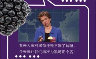 黑莓和桑葚的区别_哪个营养价值更高