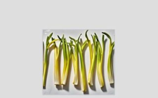 黄花怎么吃效果最好_黄花怎么搭配最营养