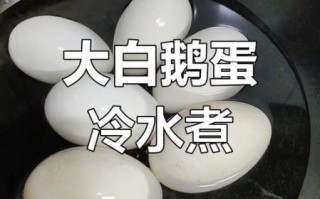 鹅蛋怎么煮不破_鹅蛋煮多久才熟