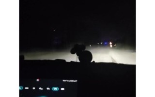 感冒吃什么药比较好_感冒吃什么药见效快