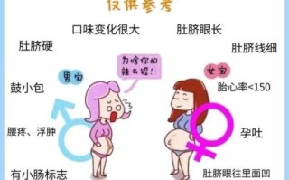 怀孕生男孩的18个症状_真的准吗