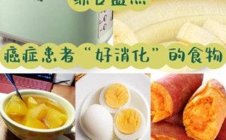 中午吃什么好消化_哪些食物容易消化