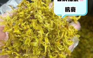 石斛花泡水一次放几朵_石斛花泡水用量多少合适