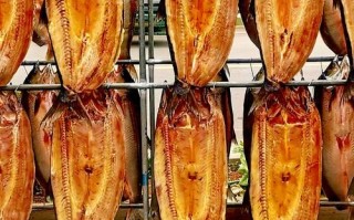 鳡鱼好吃吗_鳡鱼怎么做好吃