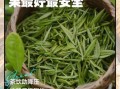 降血压最有效的茶_高血压喝什么茶最好