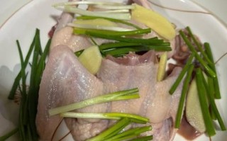 烧鸽子怎么做才入味_烧鸽子需要焯水吗