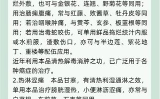 白花蛇舌草抗肿瘤功效_白花蛇舌草怎么服用