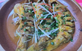 黄蜂鱼煲汤怎么做_黄蜂鱼煲汤的家常做法
