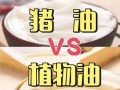 动物油和植物油哪个更健康_动物油和植物油的区别