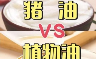 动物油和植物油哪个更健康_动物油和植物油的区别