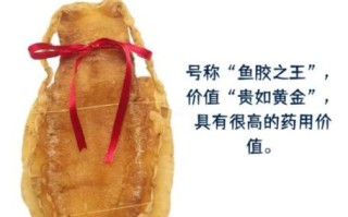 花胶和鱼肚有什么区别_哪个营养价值更高