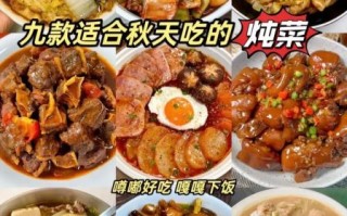 家常炖菜大全_怎么做才入味