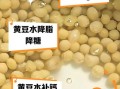 水煮黄豆怎么做好吃_水煮黄豆的窍门