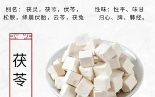 茯苓的功效与作用有哪些_茯苓主治什么病