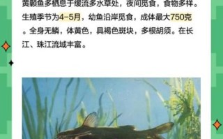 黄颡鱼吃什么食物_黄颡鱼饲料怎么选