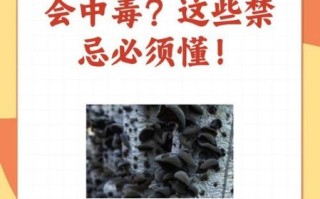 隔夜的木耳可以吃吗_木耳隔夜怎么保存才安全